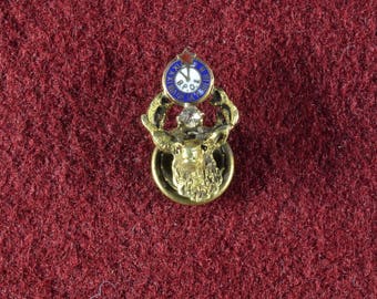 Elks lodge pins | Etsy
