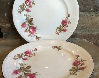 Moss rose china | Etsy