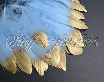 Feathers Painted & Natural Millinery & Craft by Stuffnfeathers