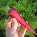 Kyoto Red Carrot Japanese heirloom 50 rare seeds non GMO