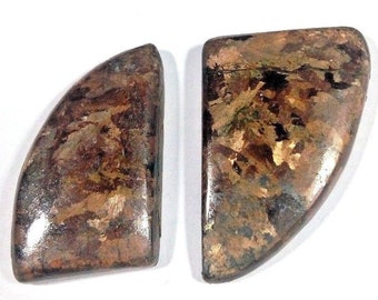 Petrified wood jasper | Etsy