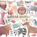 Woodland Tribal Animals Clipart Vol. 2 Set of 19 Vector PNG