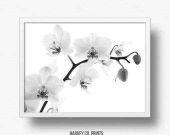 Orchid print | Etsy