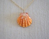 Sunrise shell | Etsy