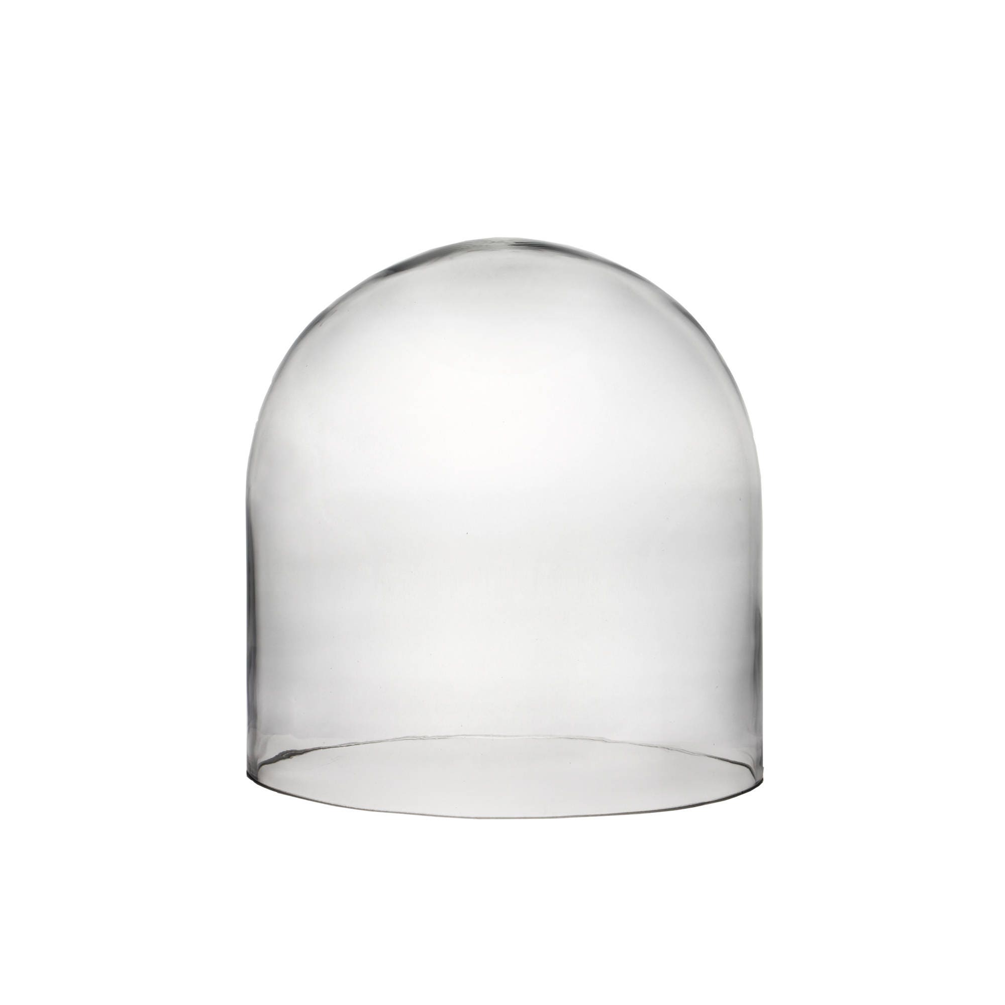 Glass Cloche Bell Dome with 12 inches Height and 12 inches