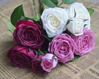 David austin roses | Etsy