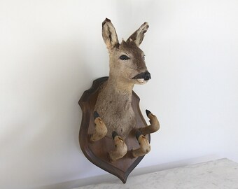 Deer head wall mount | Etsy