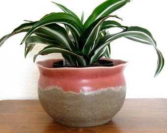 African Violet Pot 2 pc Self Watering Planter Ready by JustMare