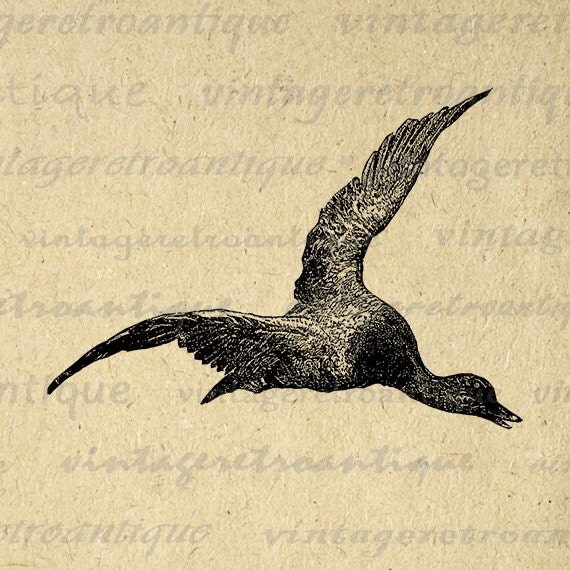 Printable Flying Duck Digital Download Bird by VintageRetroAntique