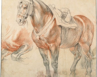 Peter paul rubens | Etsy