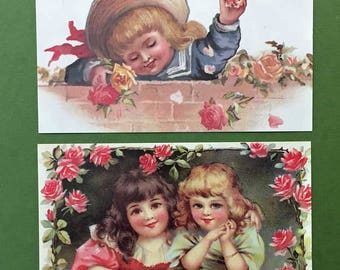 Roses 5 Postcard Set