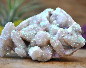 Witches finger | Etsy