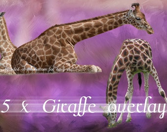 Animal overlays | Etsy