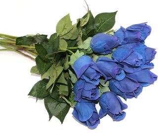 Blue rose long stem | Etsy