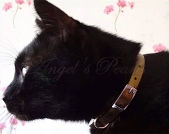 Cat collar | Etsy
