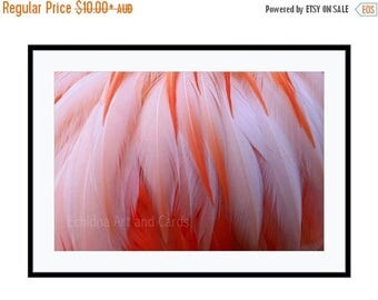 Flamingo feathers | Etsy