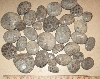 Petoskey stone art | Etsy