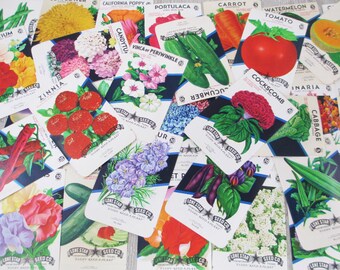 Primitive labels | Etsy