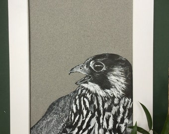 Peregrine falcon | Etsy