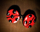 Miraculous ladybug | Etsy