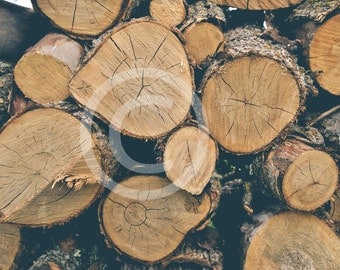 Wooden pilings | Etsy