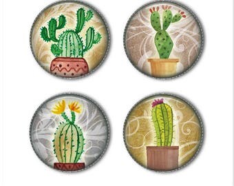 Succulent magnet | Etsy