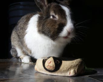 Dutch bunny rabbit | Etsy