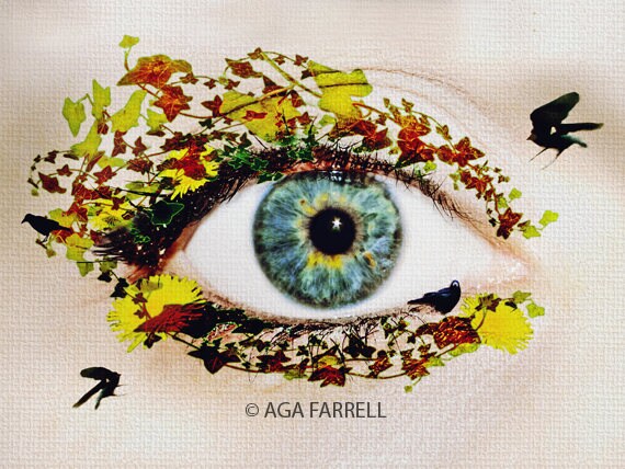 Surreal Art Fine Art Photography Eye Art Woman Art Nature