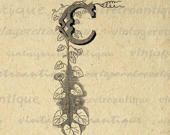 Printable Graphic Roman Style Letters Download Alphabet