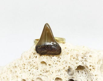 Shark tooth ring | Etsy
