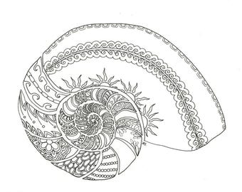 Seashell coloring | Etsy