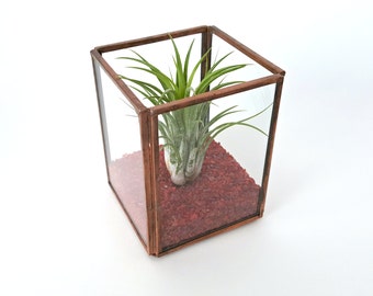 Square terrarium | Etsy
