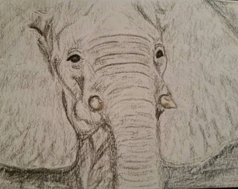 Elephant drawing | Etsy