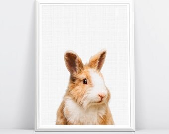 Bunny rabbit art | Etsy
