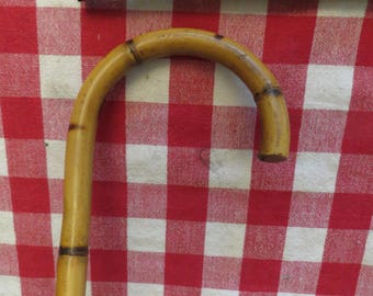 Bamboo walking stick | Etsy