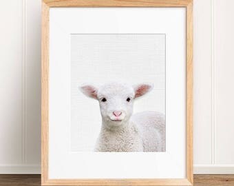 Lamb art print | Etsy