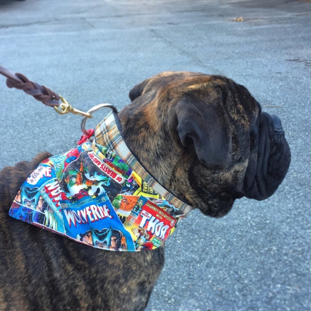 Dog collars and accessories handmade with love ️ by WiggleCollars