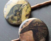 Unique crow skull pin related items | Etsy