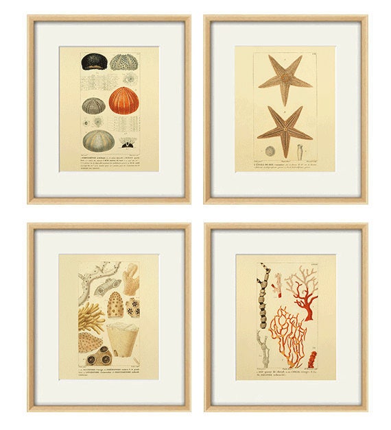 Sea art print nautical print set Sea art print vintage ocean