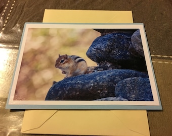 Fine Art Nature Photography by Holly Heckman by NaturisticImages