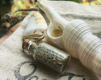 Seashell pipe | Etsy