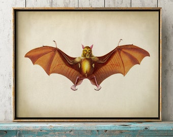 Bat art print | Etsy