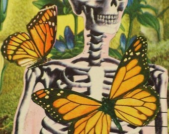 Butterfly skeleton | Etsy