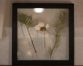 Pressed flower art | Etsy