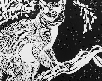 Lemur print | Etsy