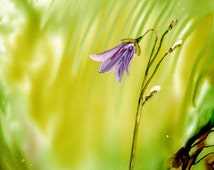 Unique blue bell related items | Etsy