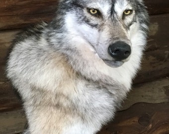 Timber wolf | Etsy