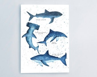 Shark watercolor | Etsy
