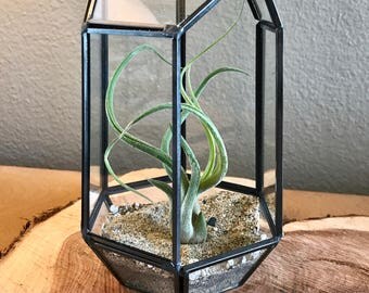 Hexagon terrarium | Etsy