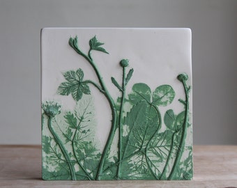 Rachel Dein Botanical Casts in Plaster and Concrete by RachelDein